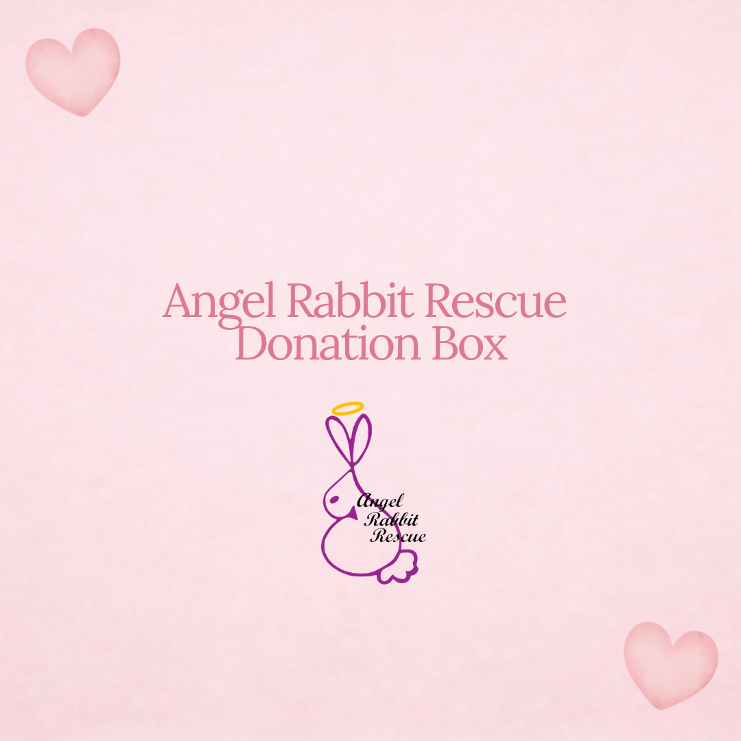 Angel Rabbit Rescue Donation Box – Darling Bun Shop