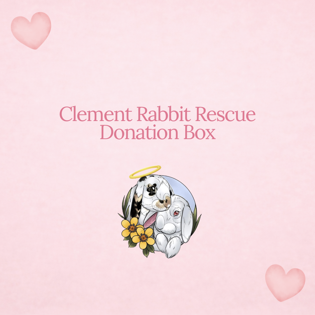 Clement Rabbit Rescue Donation Box – Darling Bun Shop