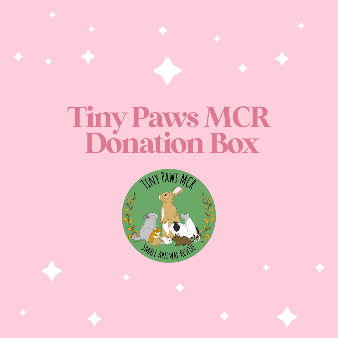 Tiny Paws MCR Donation Box – Darling Bun Shop